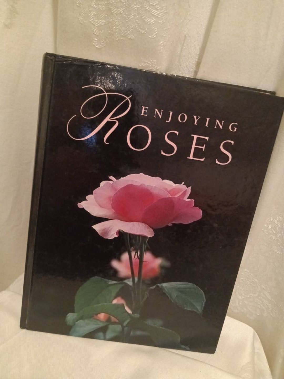 Roses, Enjoying Roses, How to Grow Roses, How to Choose Roses ...