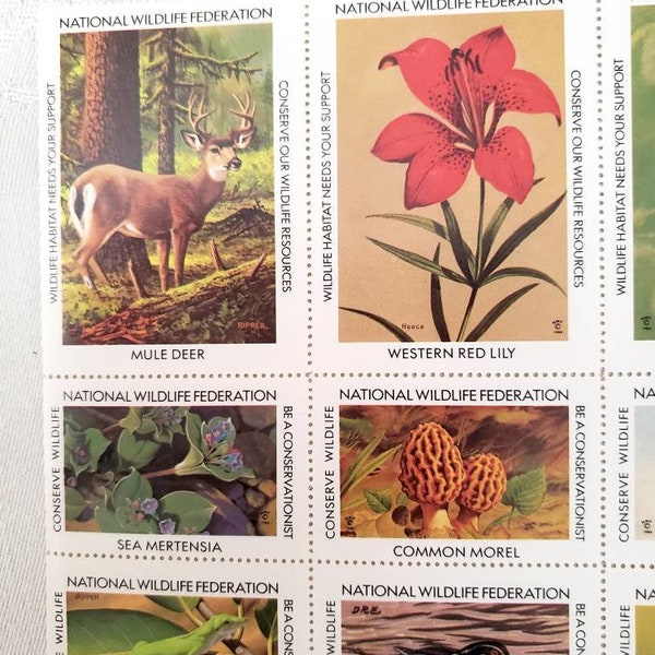 Nature Stamp - Etsy