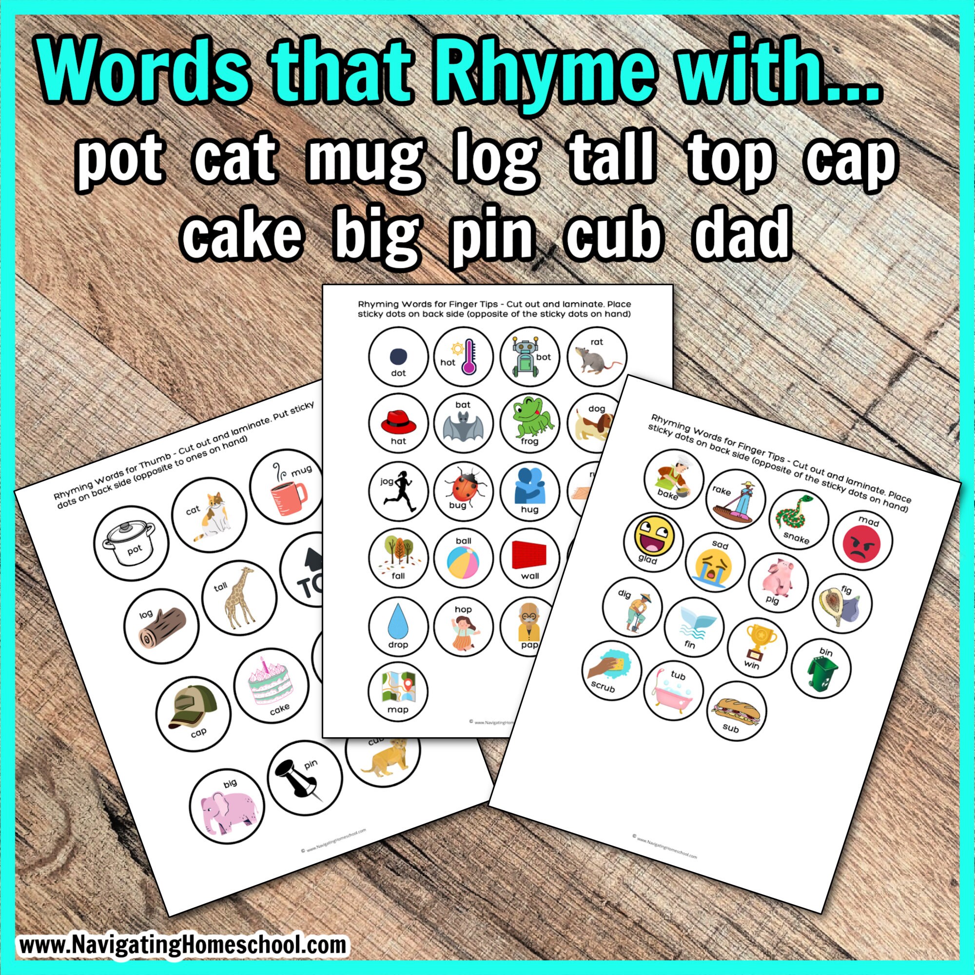 Rhyming Words, Objects, and Pictures - Rhyming Pairs Activity for ...