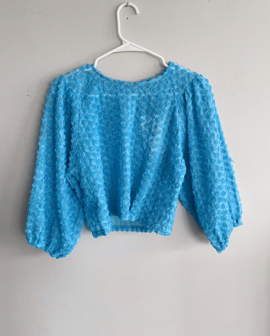 Zara Blue Floral Rose Bud Tulle Puff Sleeve Cropped Top Womens Small ...