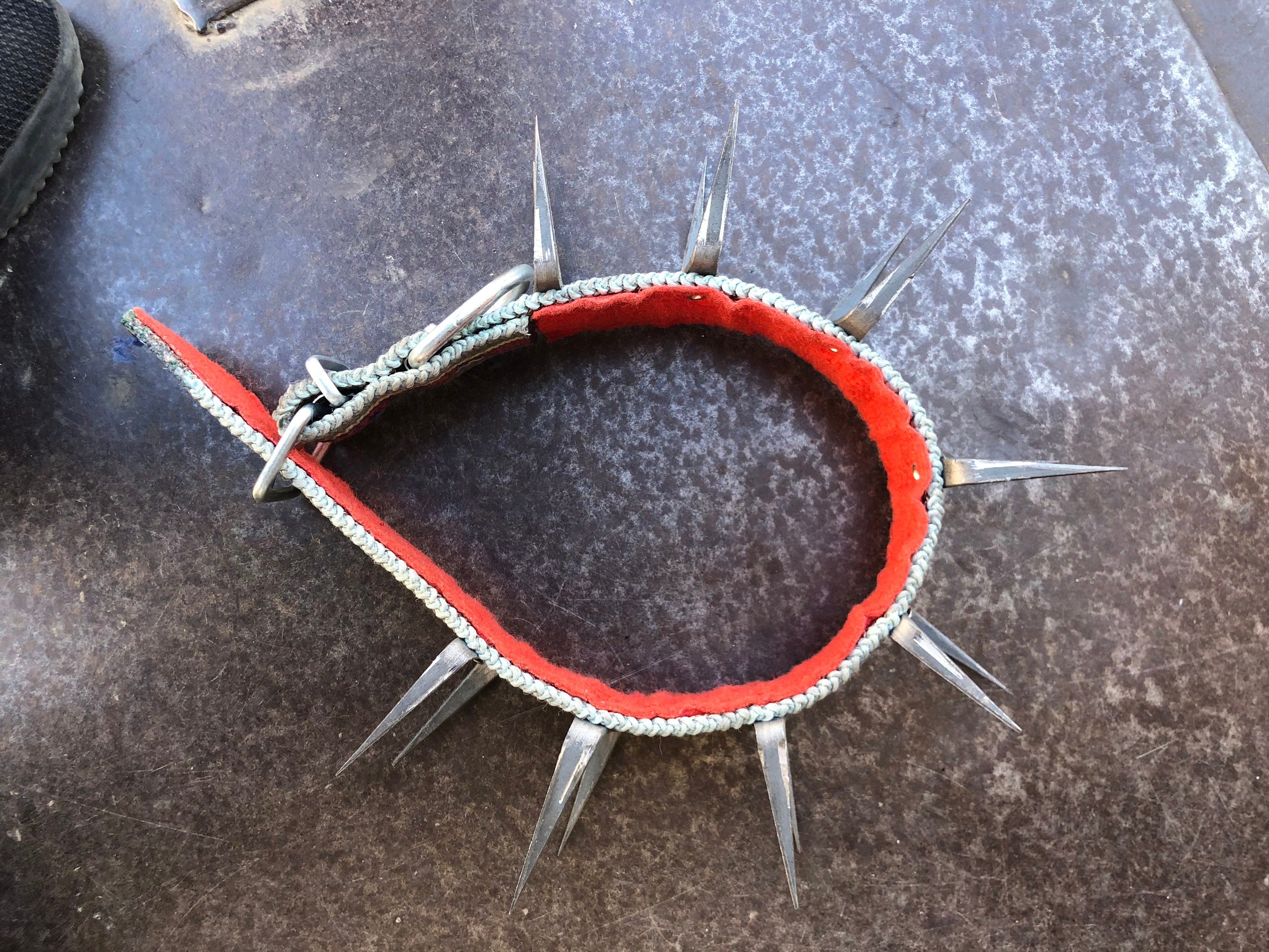 Turkish Kangal dog collar agains wolf attack iron spiked hand | Etsy