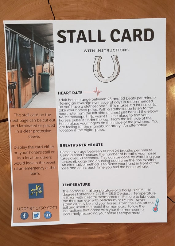 Horse Stall Card With Instructions for Taking Vitals - Etsy