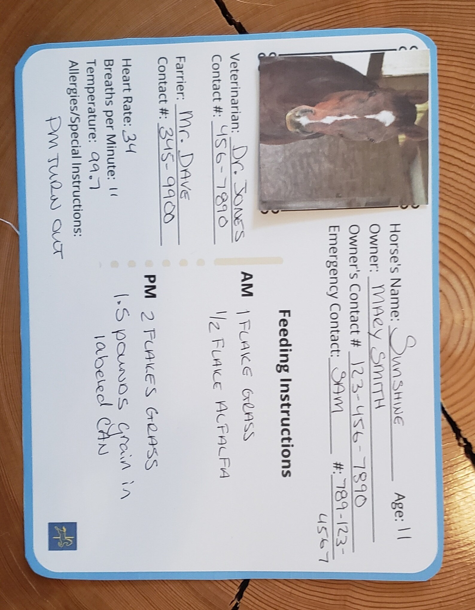 Horse Stall Card With Instructions for Taking Vitals - Etsy