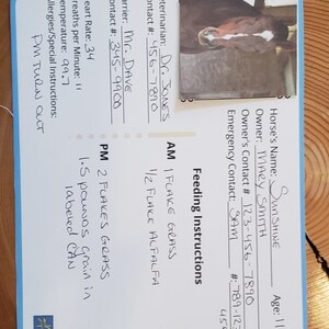 Horse Stall Card With Instructions for Taking Vitals - Etsy