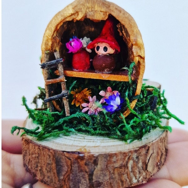 Miniature Doll in Walnut Shell - Etsy UK