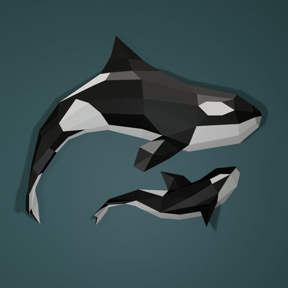 Orca Whale Craft #orca #cardboard #killerwhale #transition #reveal