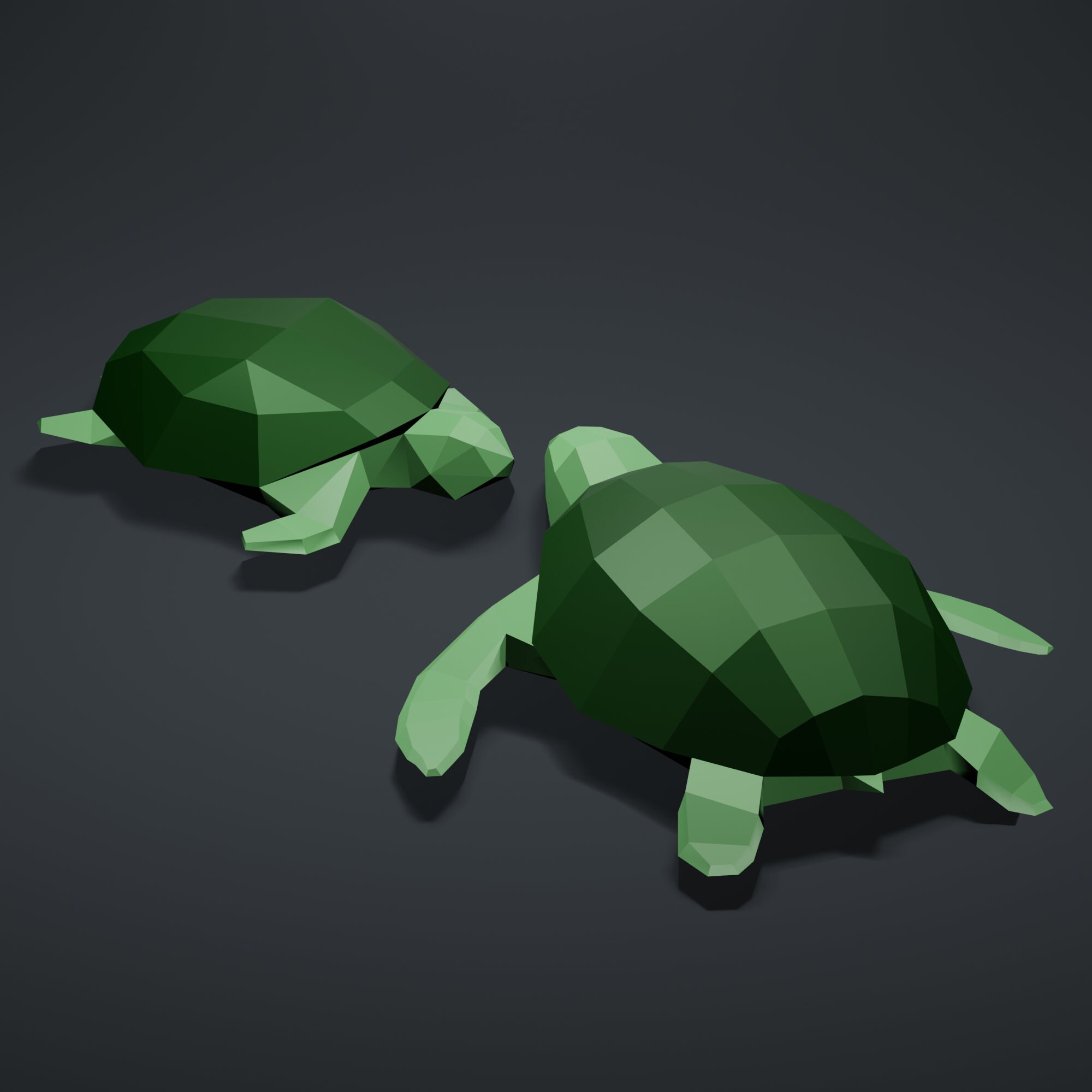 Tinkercad Turtle at Jackson Nicolle blog
