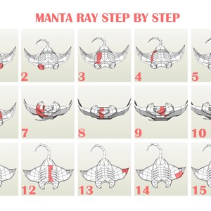 Manta Ray XXL Papercraft, SVG-PDF, Create Your Own 3D Papercraft Manta ...