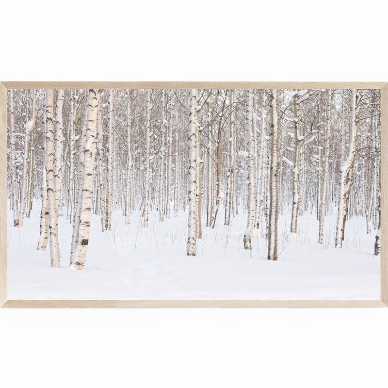 Tv Frame Aspens Tree - Etsy