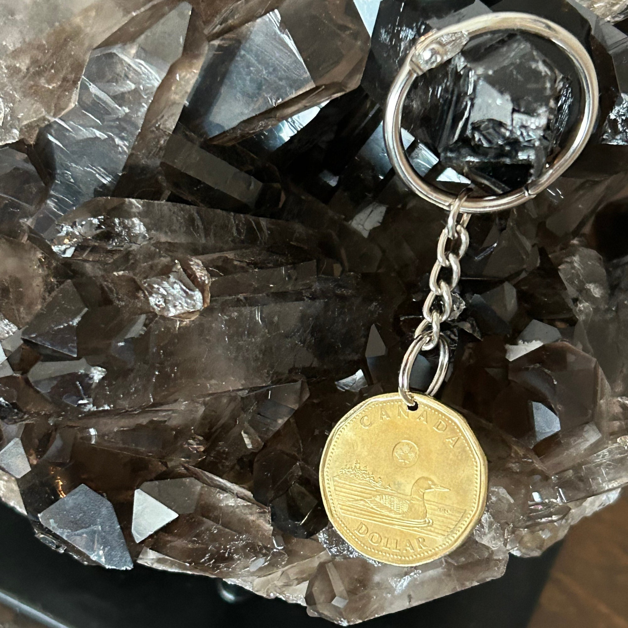 Shopping Cart Coins Reusable Real Loonie Keychain for Canada Shopping ...