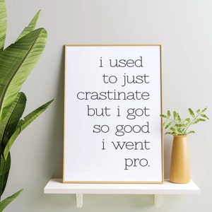 I Went Pro Print - Etsy