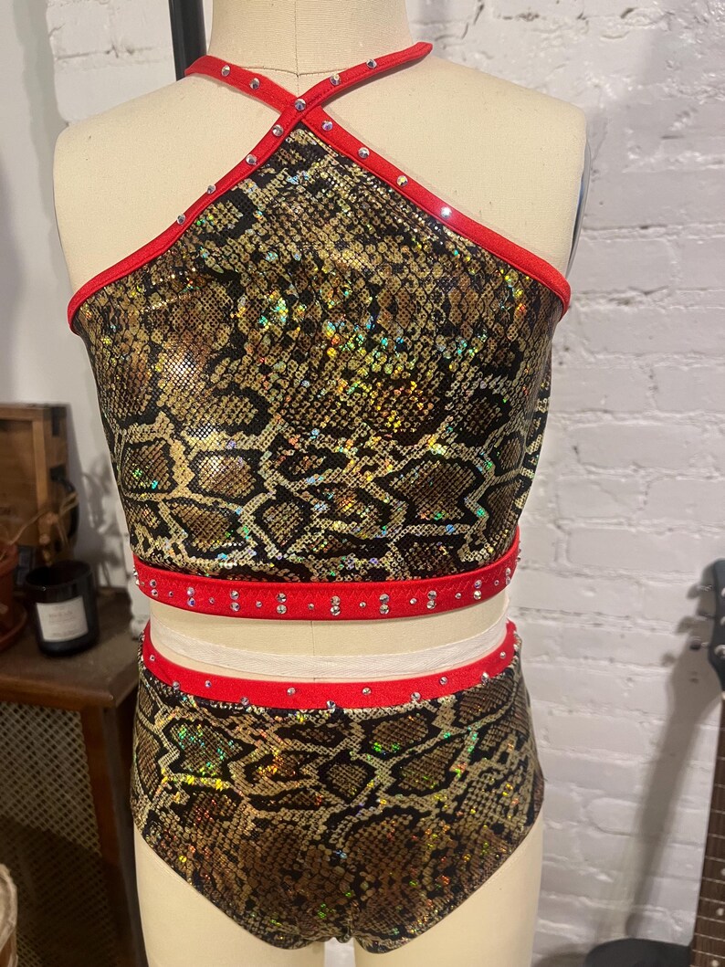 Snake Print and Red Triangle Top and Briefs - Etsy