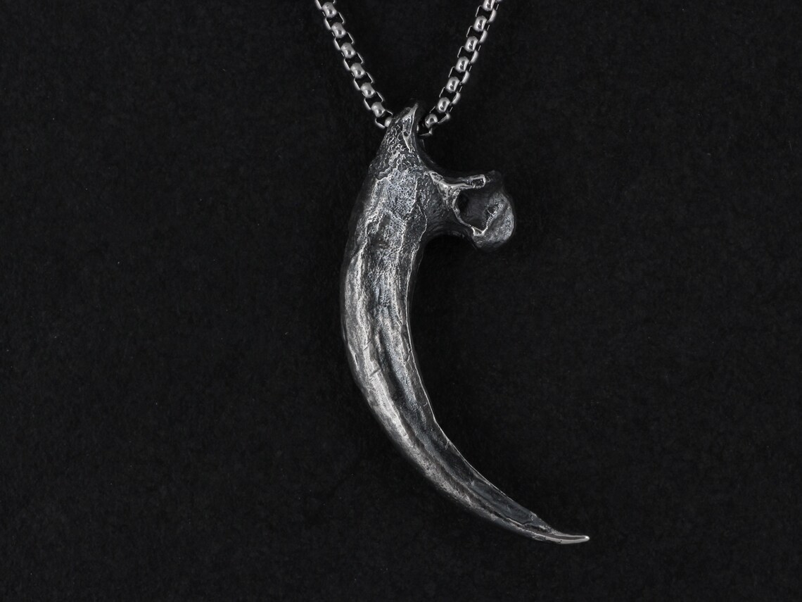 Eagle Talon Necklace - Sterling Silver Harpy Eagle Talon Pendant ...