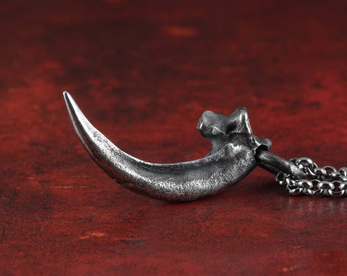 Raven Talon Necklace - Sterling Silver Raven Talon Pendant - Silver ...
