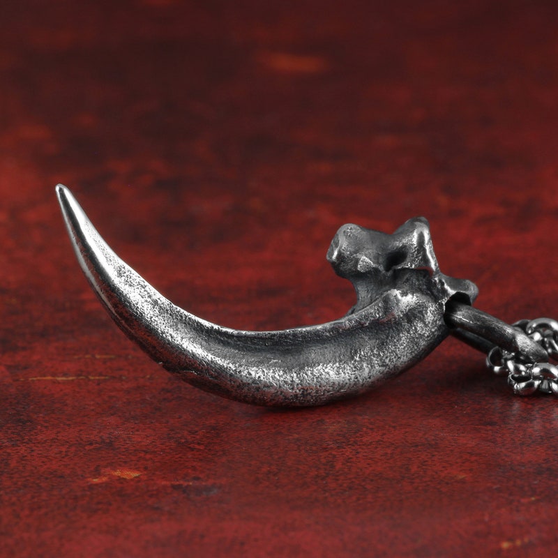 Bird Talons - Etsy
