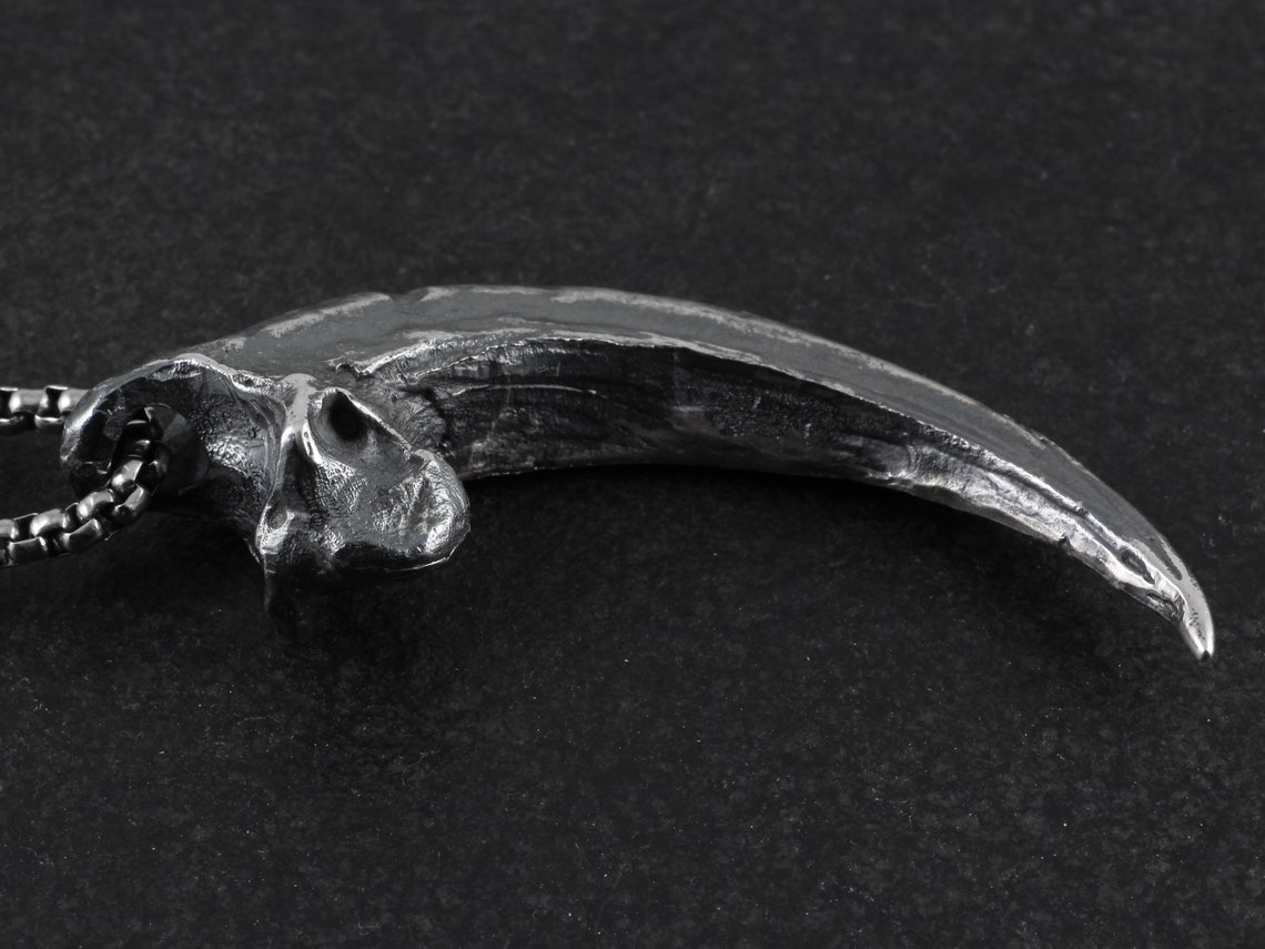 Eagle Talon Necklace - Sterling Silver Harpy Eagle Talon Pendant ...
