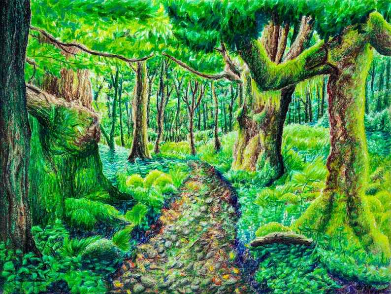 Emerald Forest Colored Pencil Drawing - 8.5x11 Inch Matte Print - Etsy
