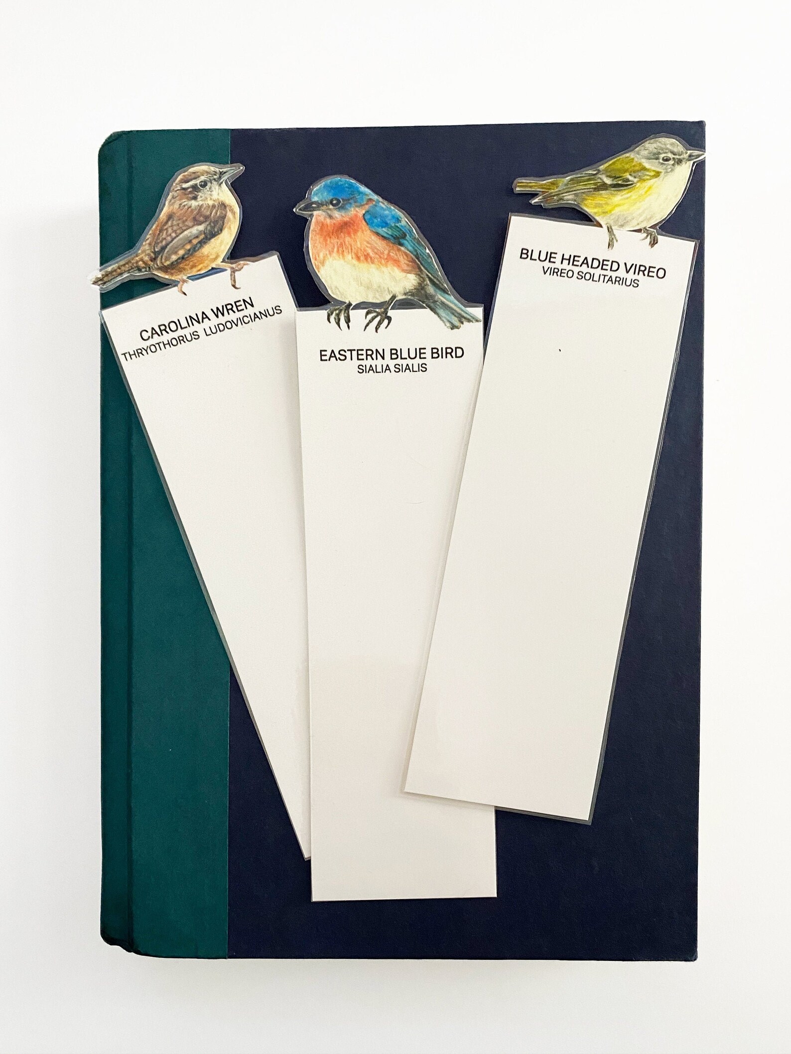 Quirky Bird Bookmarks I Set of 3 Bird Bookmarks I Blue Bird | Etsy