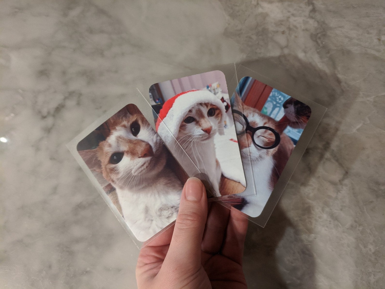 Stray Kids Photocards Soonie Doongie Dori Minho Cats Unoffical - Etsy 日本