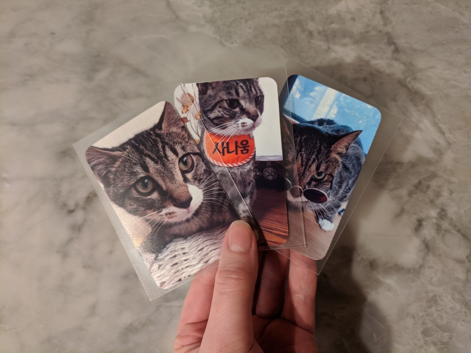 Stray Kids Photocards Soonie Doongie Dori Minho Cats Unoffical | Etsy