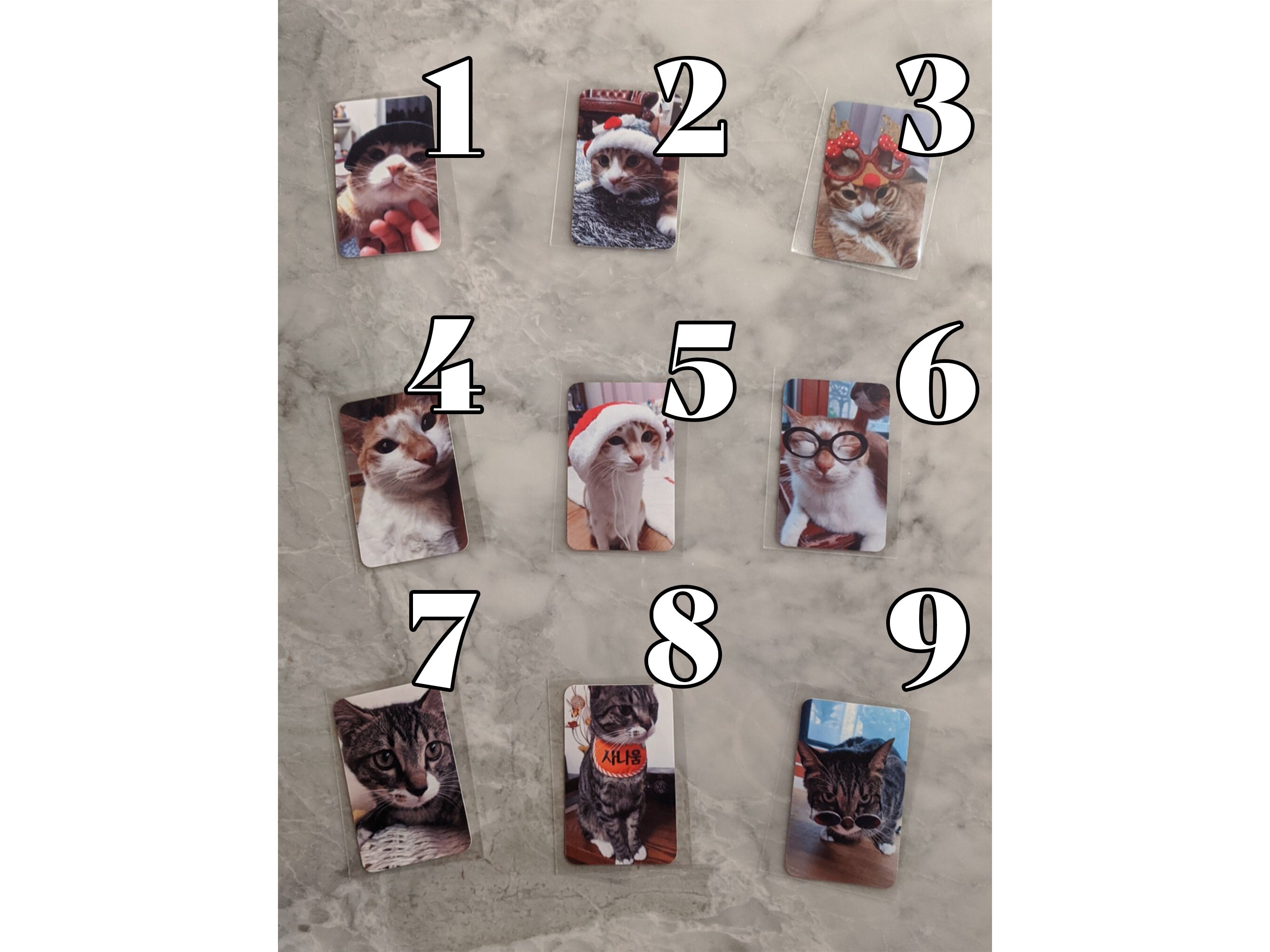 Stray Kids Photocards Soonie Doongie Dori Minho Cats Unoffical | Etsy