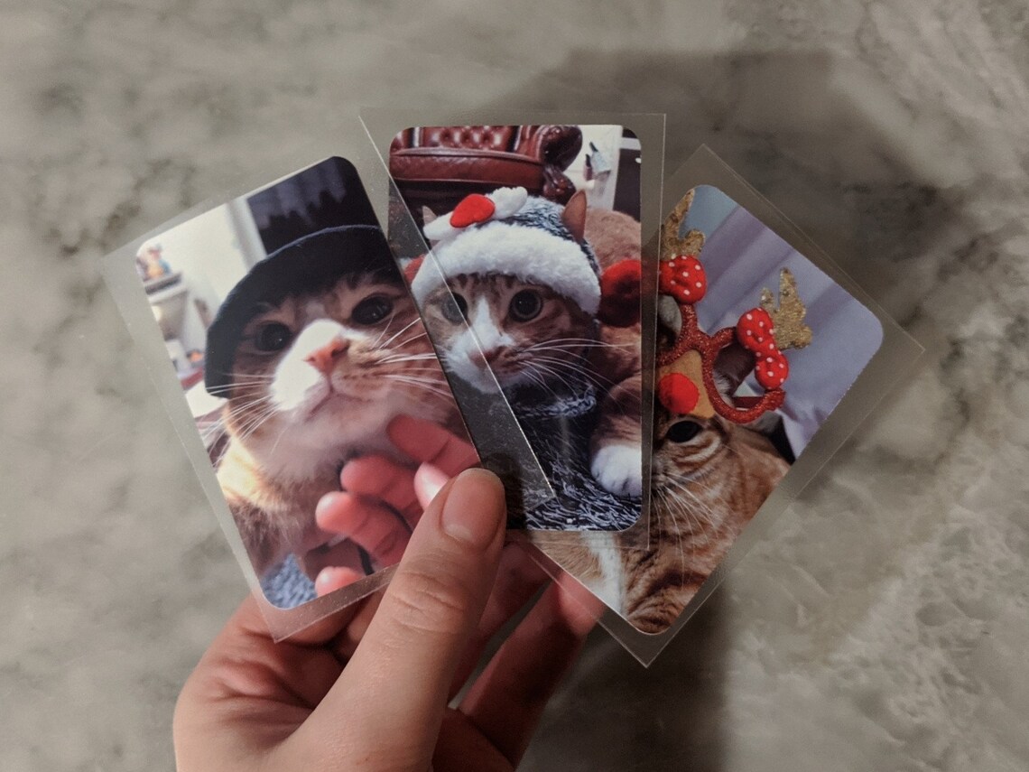 Stray Kids Photocards Soonie Doongie Dori Minho Cats Unoffical | Etsy