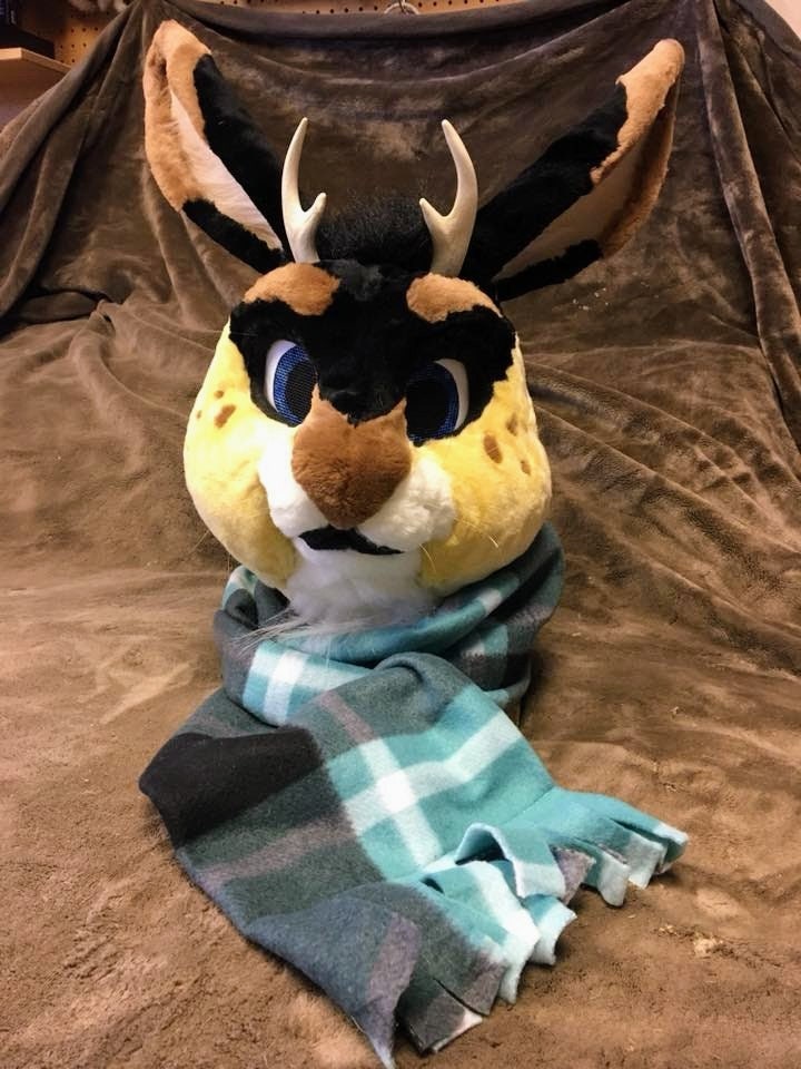 Custom Fursuit Design - Etsy