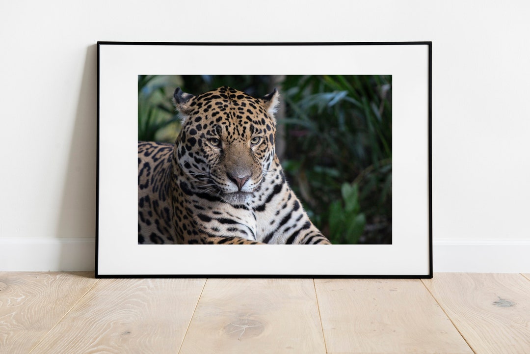 Tropical Jaguar Print - Etsy