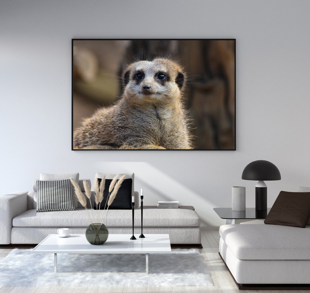 Meerkat Print - Etsy