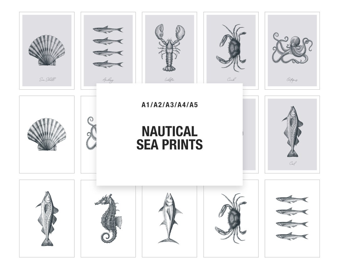 Digital Download Print | Set of Nautical Prints | Lobster | Crab | Fish ...