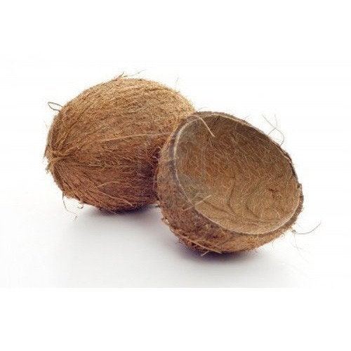 Coconut Shell Half - Etsy