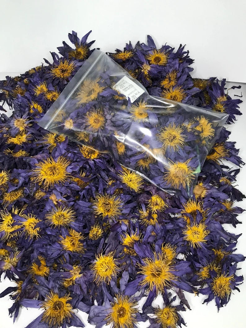 1000g Premium Organic Dried Blue Lotus Flowers Blue Tea - Etsy