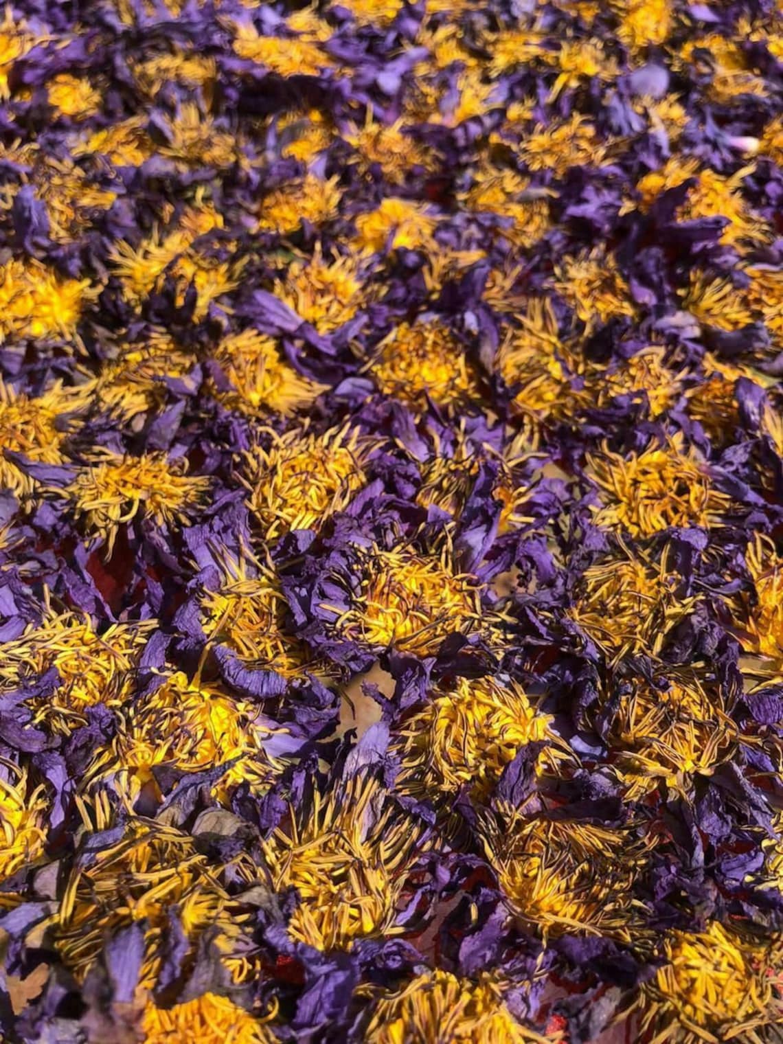 1000g Premium Organic Dried Blue Lotus Flowers Blue Tea - Etsy