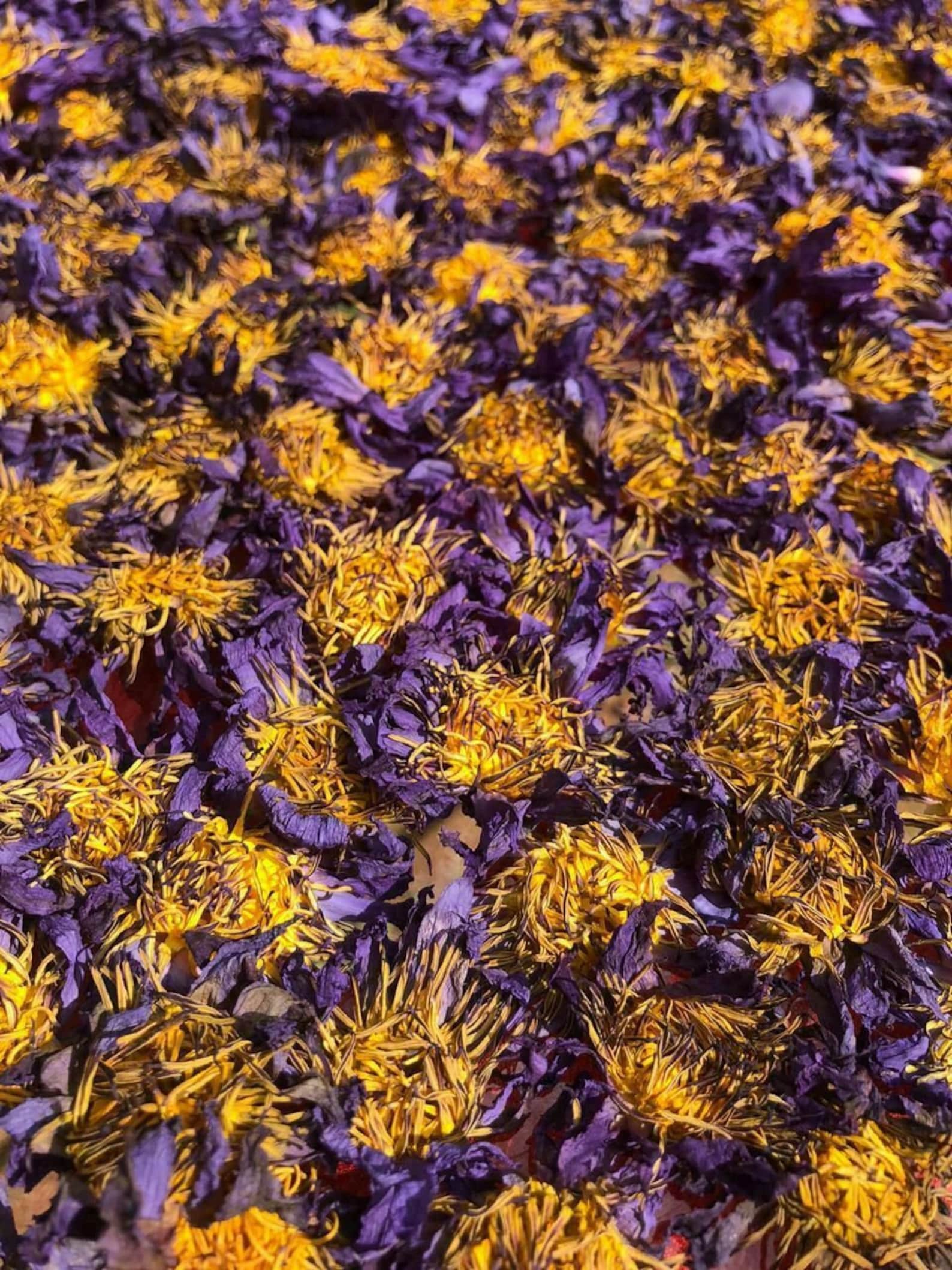 1000g Premium Organic Dried Blue Lotus Flowers Blue Tea - Etsy