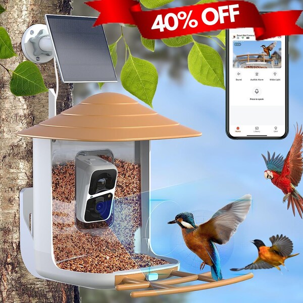 Bird House With Camera - Etsy