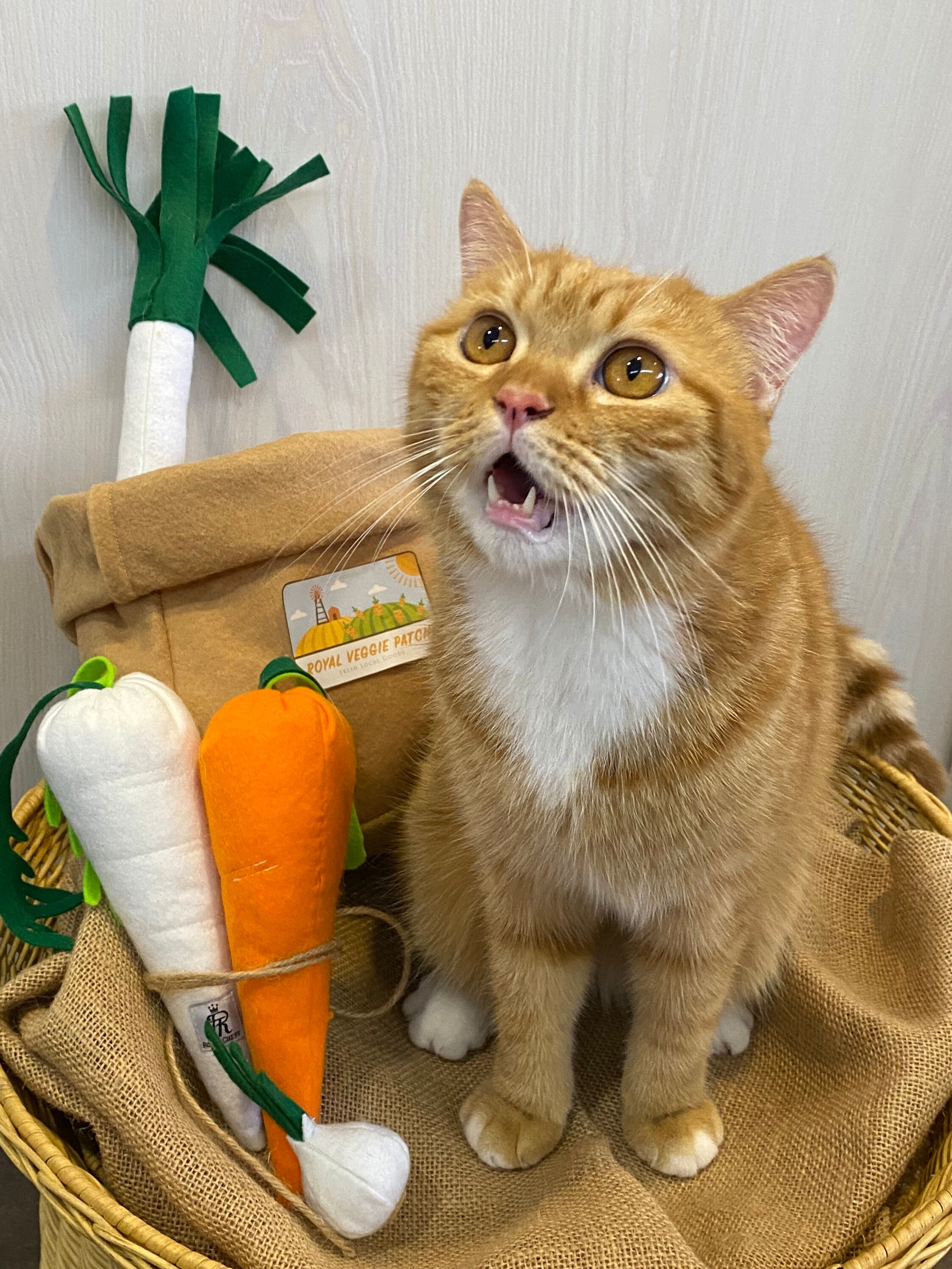 Duo Carrot Set Catnip Cat Toys Handmade Birthday Cat Toys Cat Lover ...