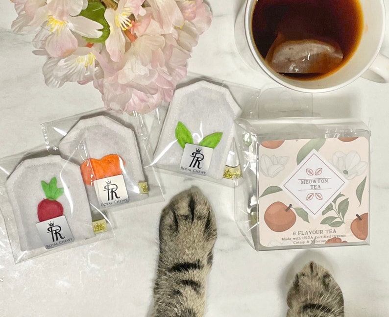 Cat Toy Catnip Tea Bag Set - Etsy