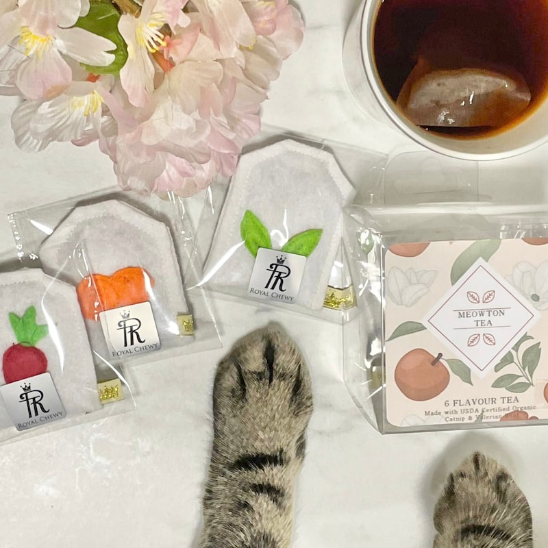 Catnip Tea - Etsy