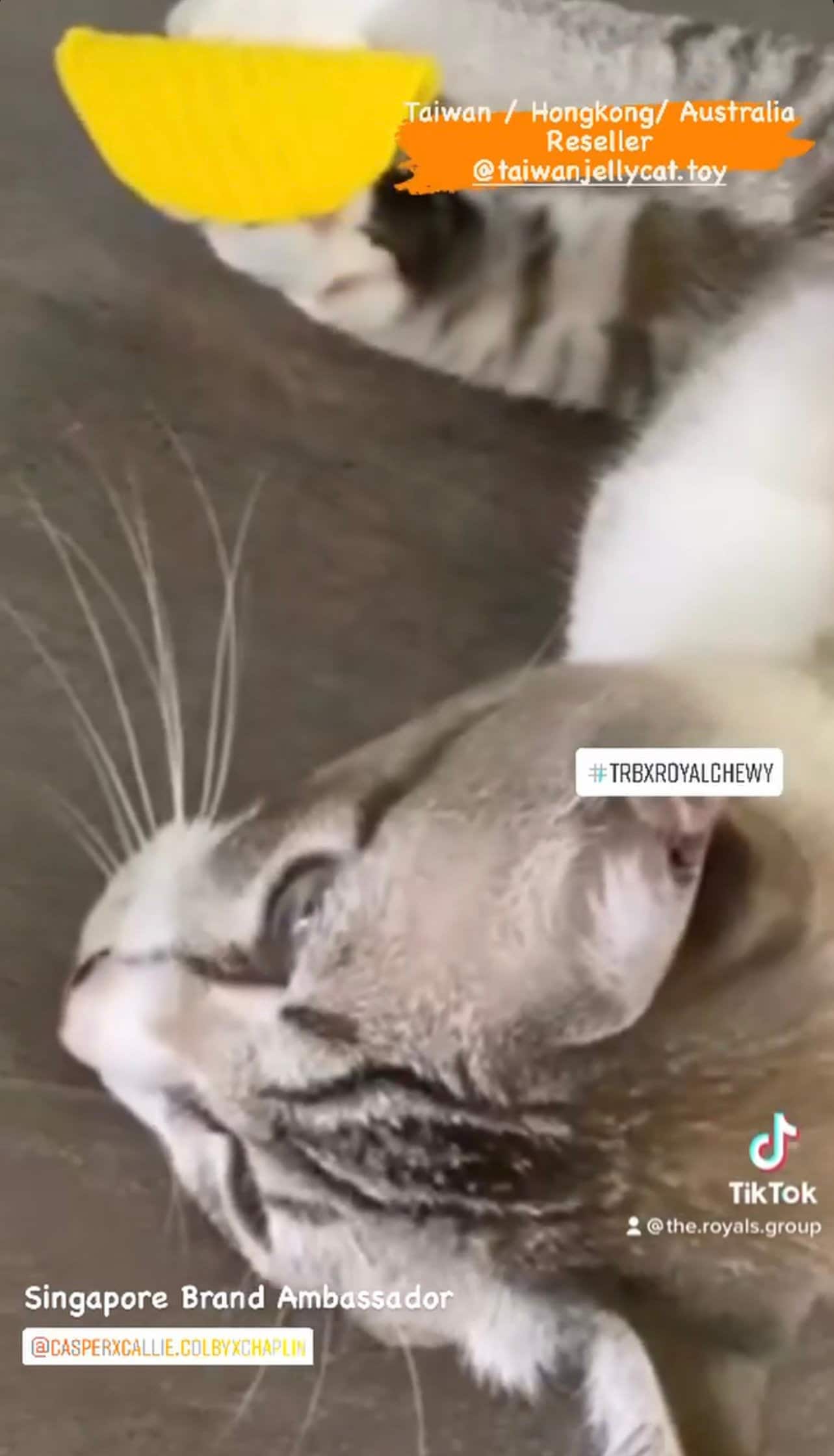 Cat Toy Ruffles Chip Catnip Cat Toys Handmade Birthday Cat Toys Cat ...