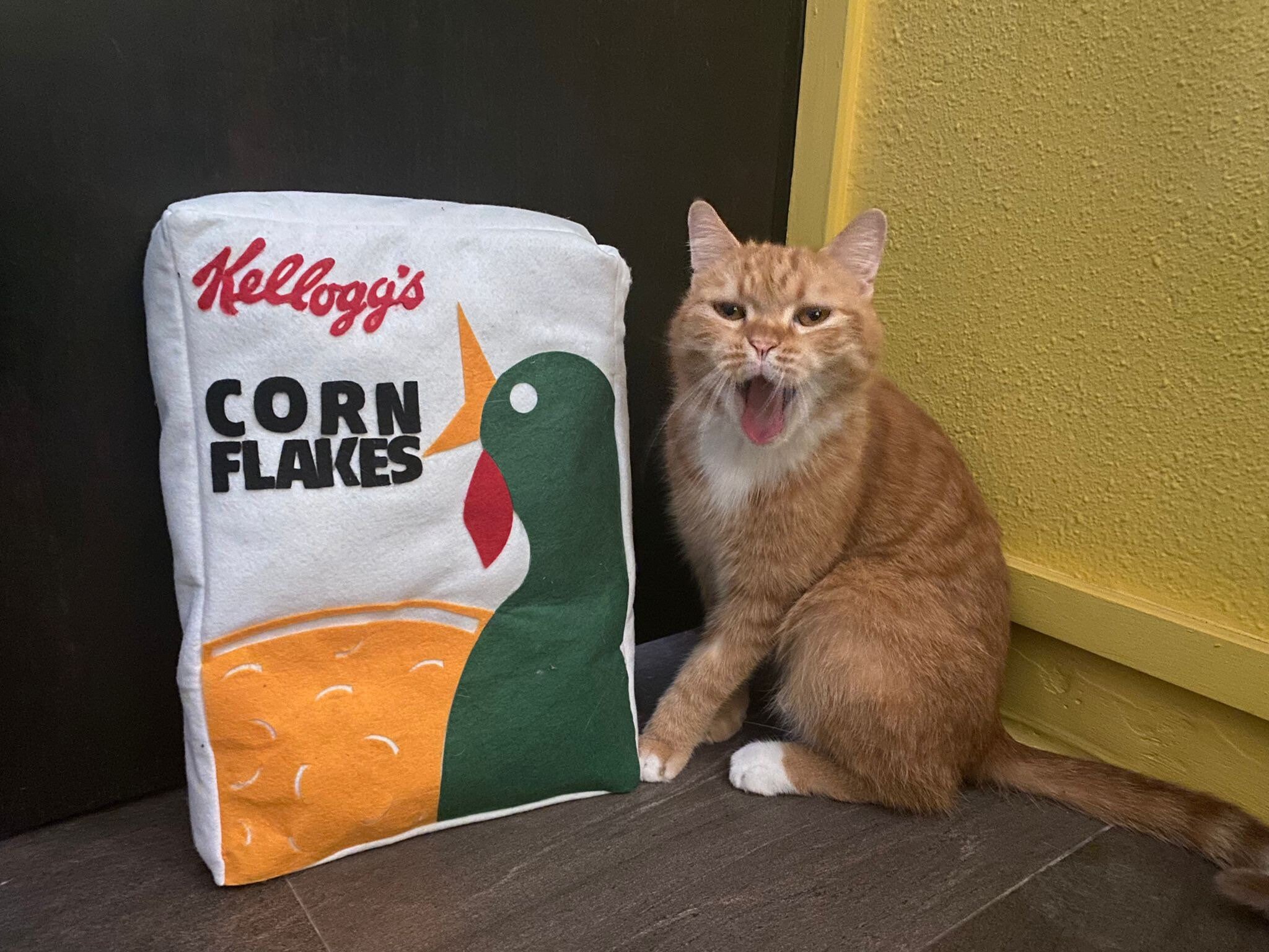 Cat Toy Cornflakes Catnip Cat Toys Handmade Birthday Cat Toys Cat Lover ...