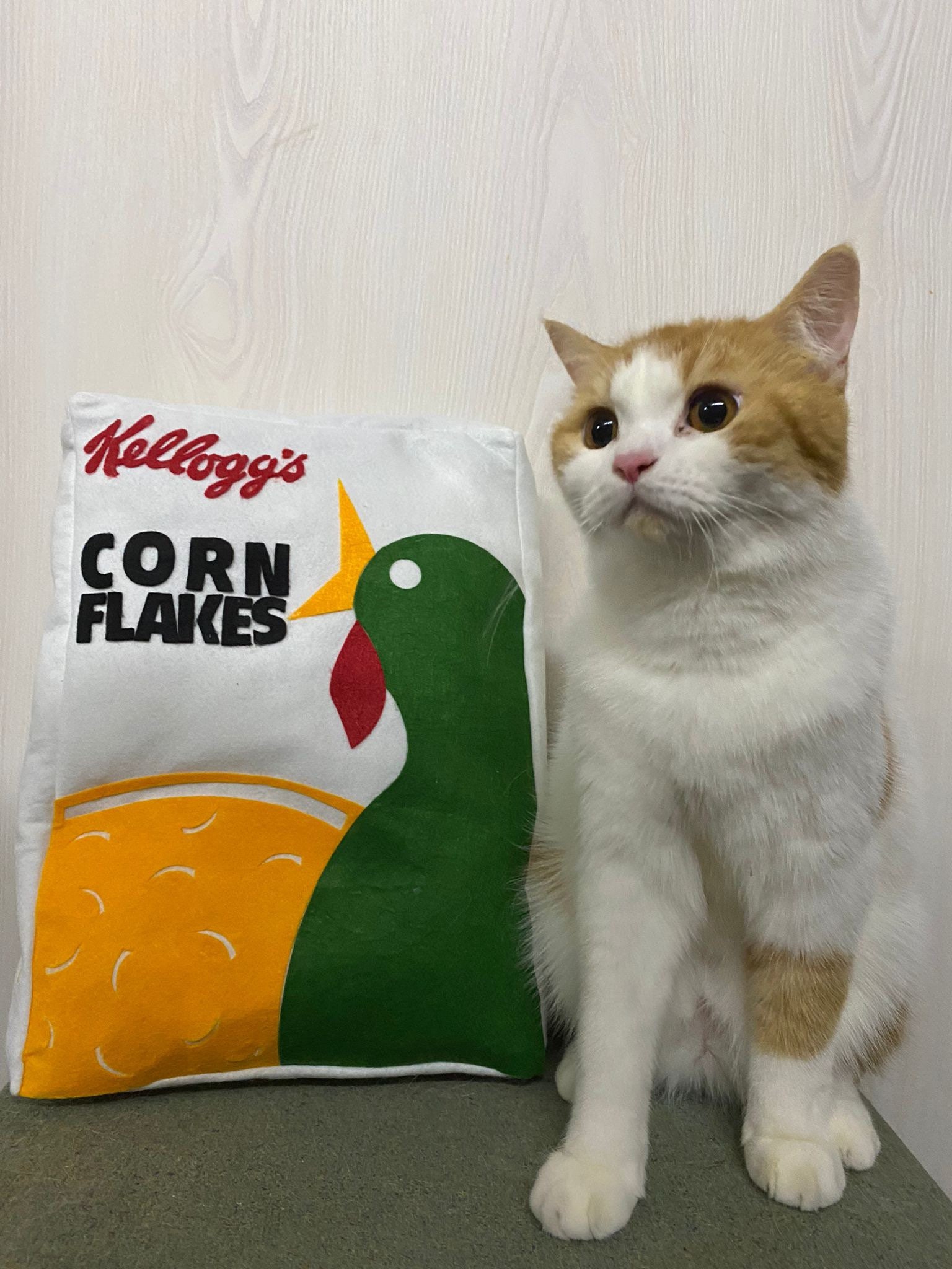 Cat Toy Cornflakes Catnip Cat Toys Handmade Birthday Cat Toys Cat Lover ...