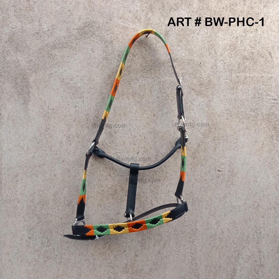 Customize Hand-embroidered Leather Polo Head Collar | Horse Halter ...