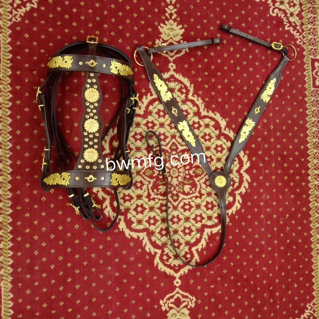 Horse Bridle With Fancy Horse Breast Collar, Fancy Horse Bridle ...