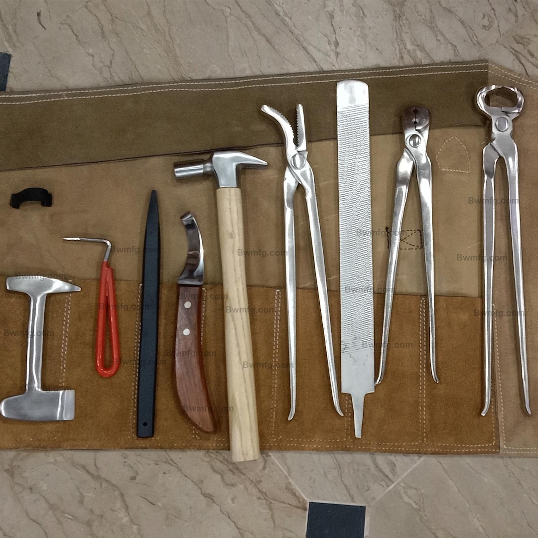 9PCS Professional Farrier Tool Kit: Hoof Trimming & Grooming - Portable ...