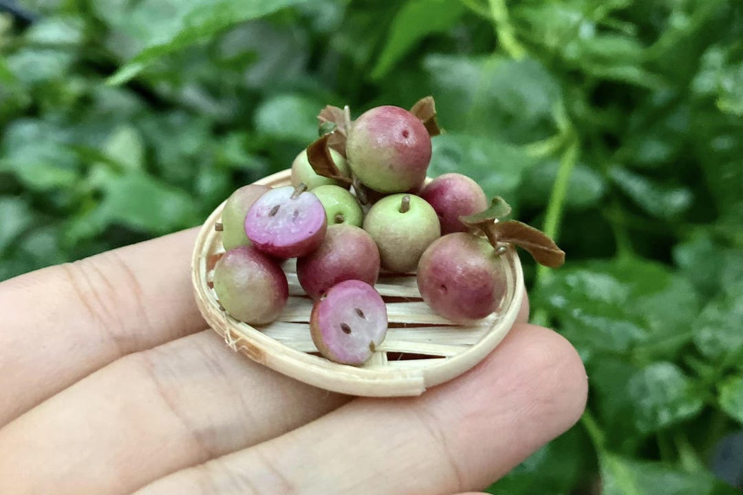 1/12 Vietnamese Star Apple Miniature - Etsy