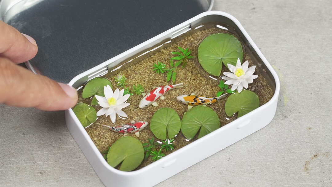 Clay Water Lily Koi Fish Box Epoxy Resin Miniature Diorama - Etsy Australia