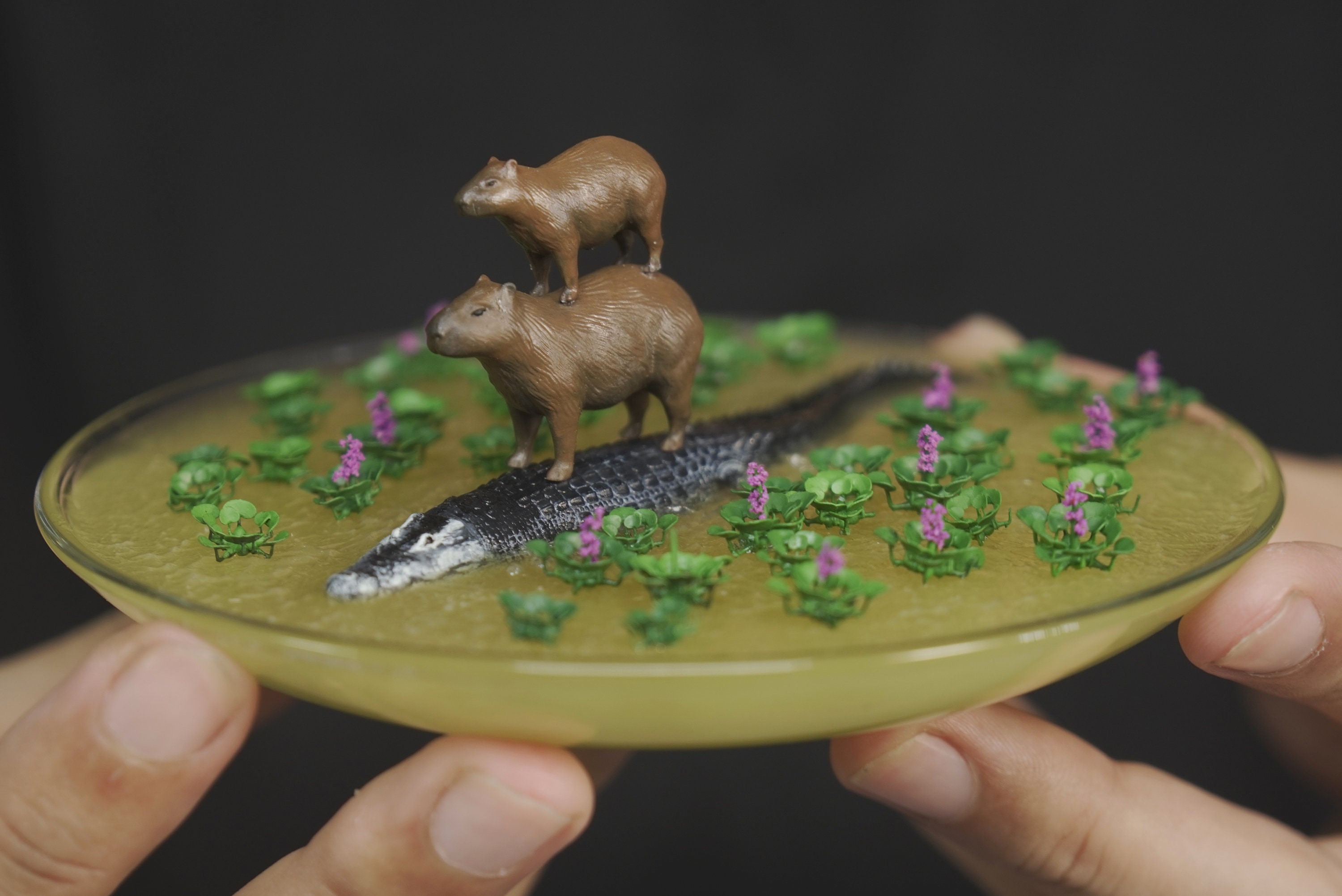 Capybara Riding Crocodile - Mini Diorama on the Dish - Etsy