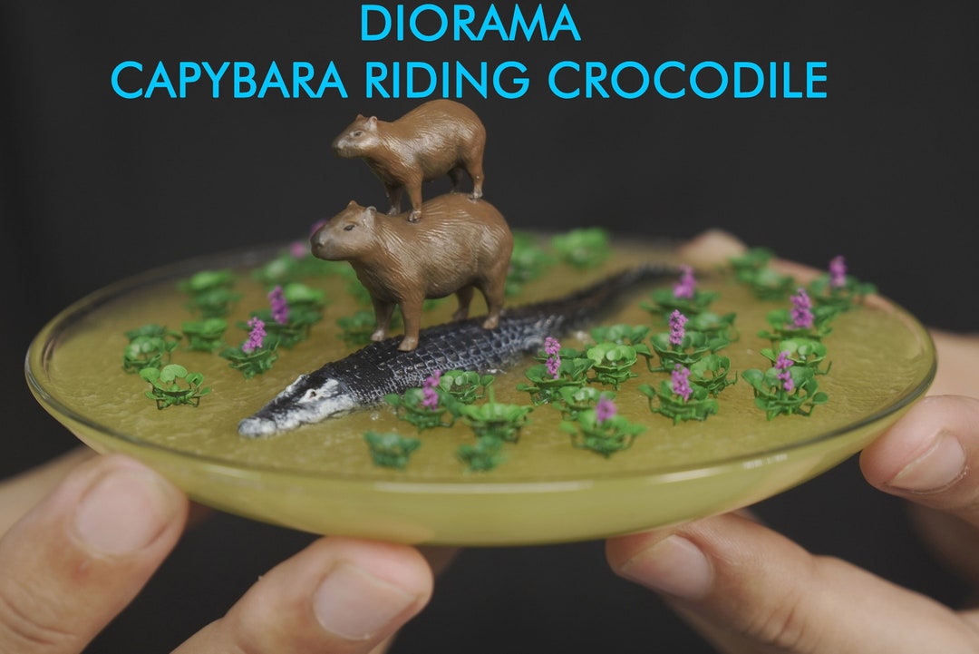 Capybara Riding Crocodile - Mini Diorama on the Dish - Etsy