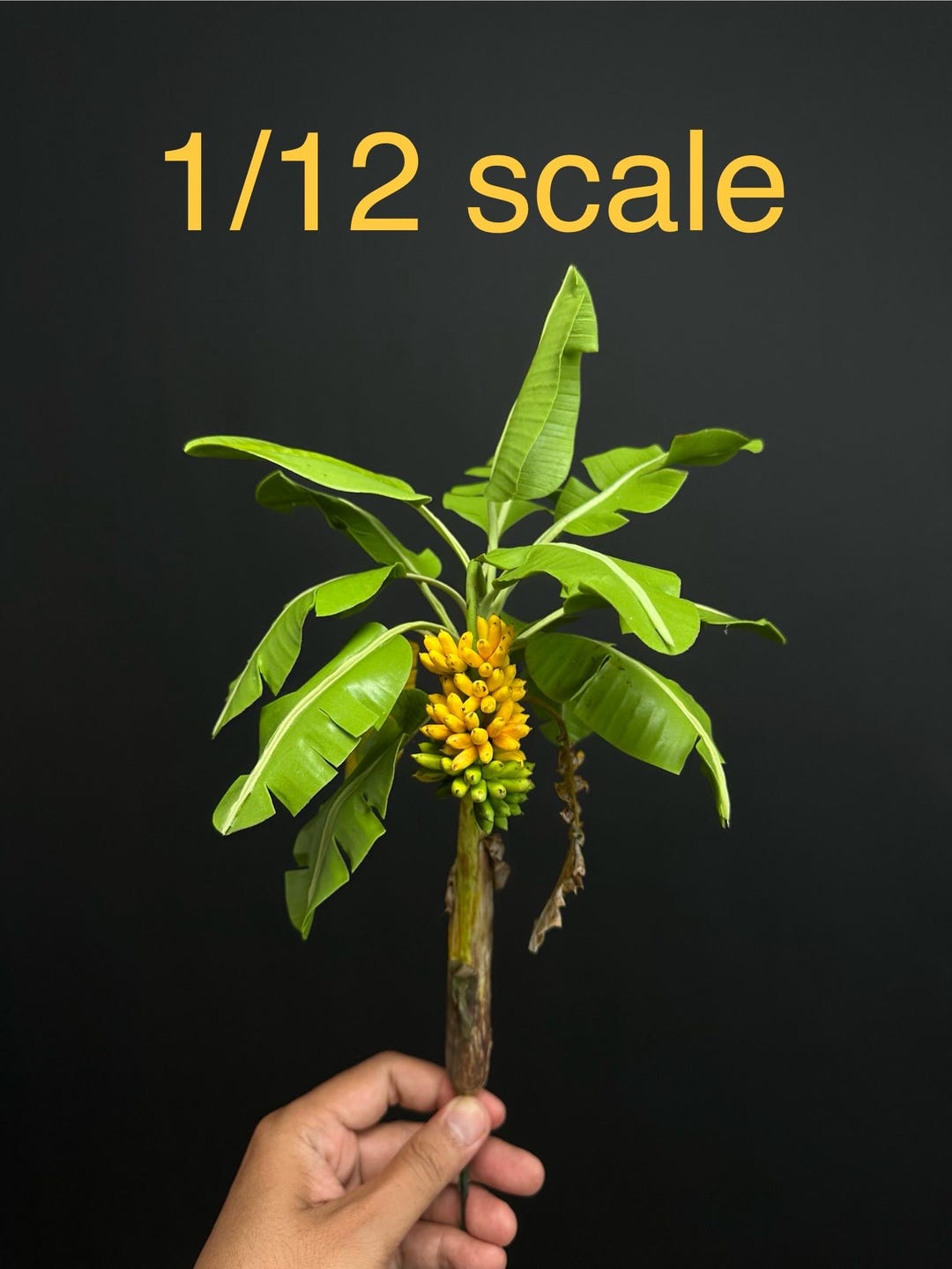 1/12 Scale Clay Banana Tree Miniature Handpaint High Detail - Etsy