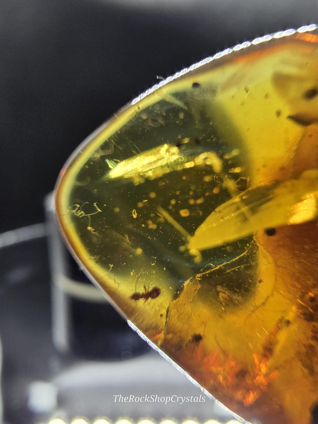 Dominican Amber **with Multiple Insect Inclusions** *ultra Rare* Los ...
